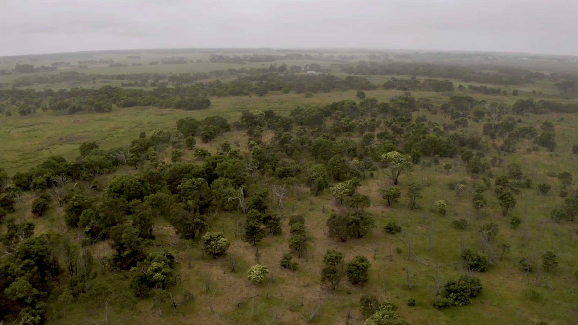 Budj Bim Cultural Landscape - Visit Today